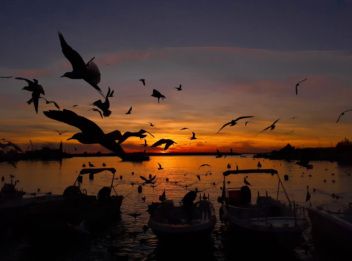 Silivri’de Gün Batımı Harika Karelere Yansıdı | Prusa Haber